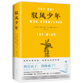 驭风少年 湖北新华书店官网 南海出版公司