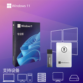 正版win11专业版纯净原版重装Windows10家庭中文版升级Pro苹果笔记本安双系统M芯片虚拟机 win11专业版-简体中文USB（可激活一台）【图片 价格 品牌 报价】-京东