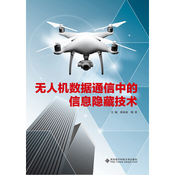 无人机数据通信中的信息隐藏技术