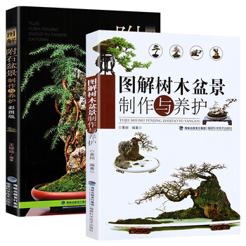 图解树木盆景+附石盆景制作与养护 2册 盆景制作教材 盆景书籍图书大全 入门 盆景造型技艺图解 盆