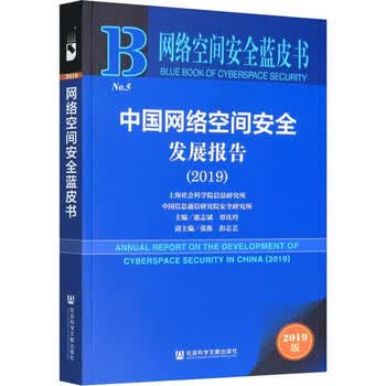 中国网络空间安全发展报告(2019) 2019版