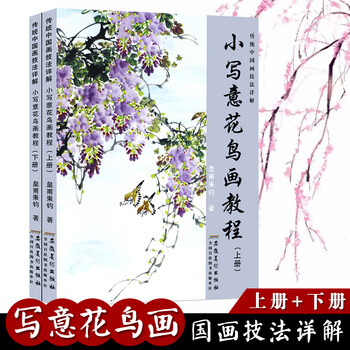 【全2册】小写意花鸟画教程上下册 传统中国画技法详解皇甫秉钧绘画美术教材国画基础入门水墨画初学者