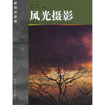 风光摄影(新视觉影像)王传东摄影9787533018634 风光摄影摄影技术普通成人