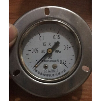 Y60ZT轴向带边压力表 轴向压力表 0.6,1,1.6,2.5等mpa青岛新精密 0~4mpa【图片 价格 品牌 报价】-京东