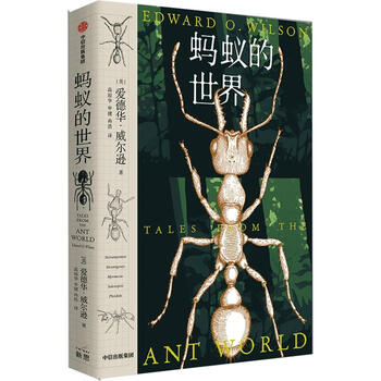 蚂蚁的世界 图书