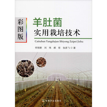 彩图版羊肚菌实用栽培技术