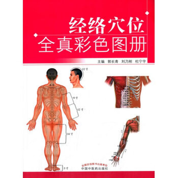 现货正版 经络穴位全真彩色图册 郭长青,刘乃刚,杜宁宇 中国中医药出版社 9787513226448