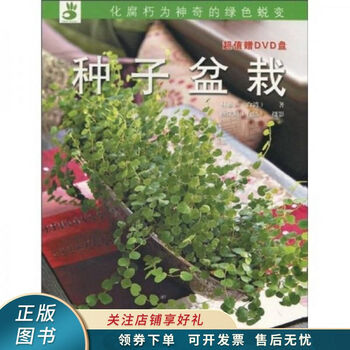 种子盆栽