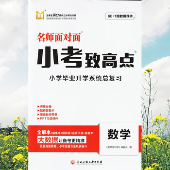 名师面对面小考致高点 小学毕业升学系统总复习语文 数学 英语 数学【人教版】
