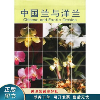 中国兰与洋兰 卢思聪