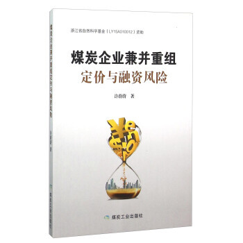 煤炭企业兼并重组定价与融资风险 许蔚蔚 煤炭工业出版社