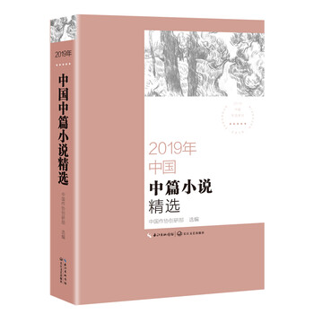 2019年中国中篇小说精选（2019中国年选系列）
