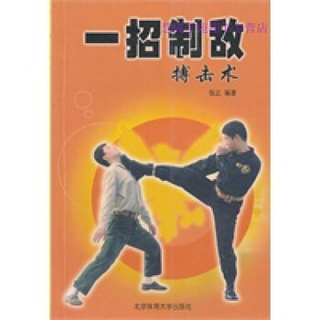 一招制敌搏击术 张正