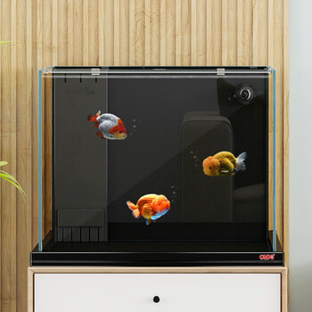 彩鲽（CADE）彩鲽干湿分离超白玻璃养鱼造景桌面缸小型家用水族箱懒人免换水 黑色 mini max【图片 价格 品牌 报价】-京东