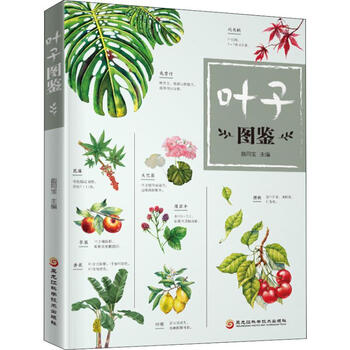 叶子图鉴 曲同宝 编 生物科学