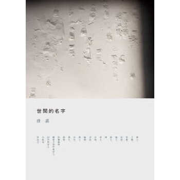 在途 原版进口书 唐诺世间的名字印刻