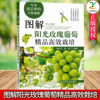 新版图解阳光玫瑰葡萄精品高效栽培葡萄高效栽培书籍病虫草害诊断与防治 葡萄合理整修修剪图解种植技术书籍葡萄实用栽培技术