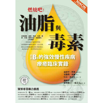 台版 燃烧吧 油脂与毒素 维生素B3的强效慢性疾病疗愈临床实录 失眠忧郁精神