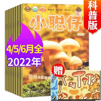 小聪仔（科普版）杂志2022年4/5/6月共3期打包2~8岁幼儿益智兴趣智力开发低年级儿童科普百科自然探索奥秘非2021过期刊