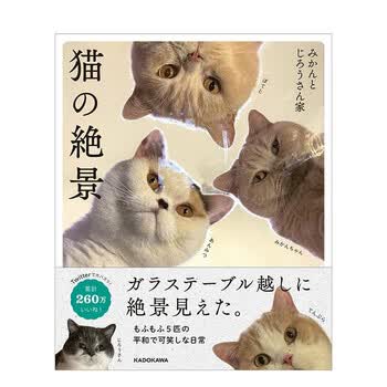 猫之绝景 喵星人写真集 Twitter超两百万人气宠物摄影集 ＫＡＤＯＫＡＷＡ 日文原版进口图书拍摄技巧 善本图书