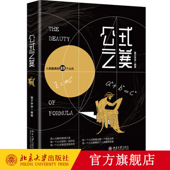 公式之美 量子学派 重塑数理思辨能力深度思考能力 公式后面历史故事 人文解析数学之美 趣味解读发现科学之美 北京大学旗舰店正版