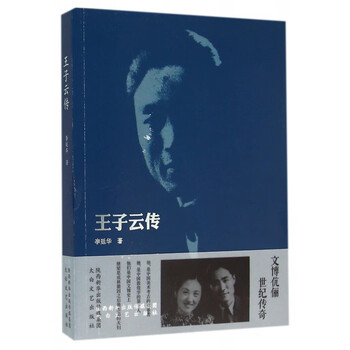 王子云传