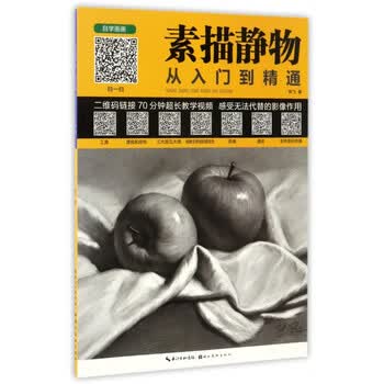 素描静物从入门到精通/自学画画