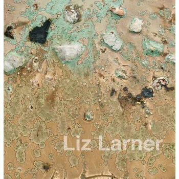 Liz Larner