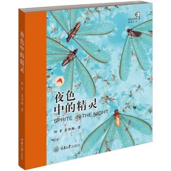 夜色中的精灵