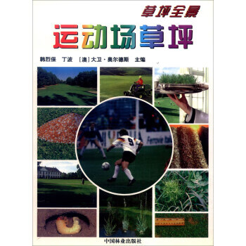 坪全景  运动场坪