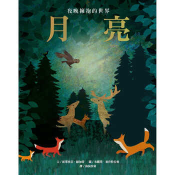 预售 派翠西亚．赫加蒂 月亮：夜晚拥抱的世界 维京