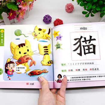 宝宝识字字典正版 儿童认字启蒙 幼儿园学前班大班学认字书籍 幼儿教育专家全力推荐彩色插图本 文心出版社