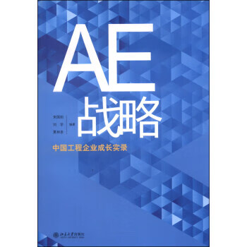 AE战略-中国工程企业成长实录 束国刚,刘学,夏林泉 北京大学出版社