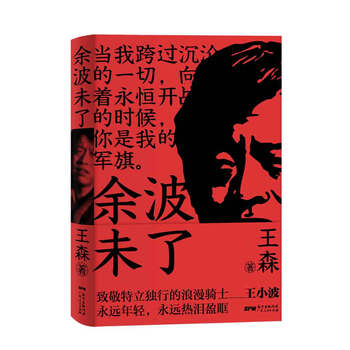 余波未了：致敬王小波，致敬经典！