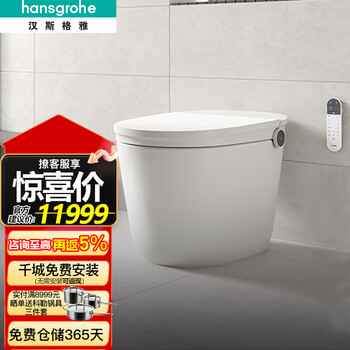 汉斯格雅（Hansgrohe）汉斯格雅智能马桶一体机纯境即热式全自动冲洗坐便器 22400007-305坑距 舒适版【图片 价格 品牌 报价】-京东