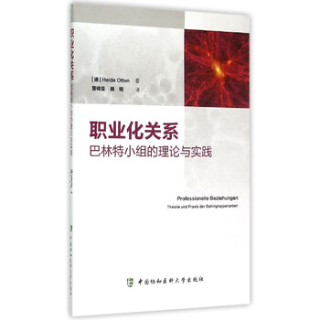 职业化关系(巴林特小组的理论与实践)