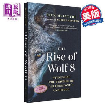 The Rise of Wolf 8 英文原版 狼8的崛起 Rick McIntyre