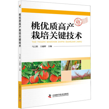 桃优质高产栽培关键技术