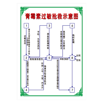 医院制度牌宣传画急救程序挂图药物过敏反应抢救流程图示意图贴画覆膜防水贴纸WSB169 WSB169-01 青霉素过敏抢救示意图 60*40厘米 覆膜防水PP贴纸