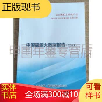 中国能源大数据报告2021