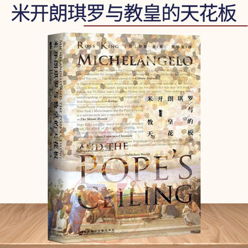 正版 甲骨文丛书米开朗琪罗与教皇的天花板 文艺复兴达芬奇拉斐尔米开朗基罗 西斯廷壁画雕塑