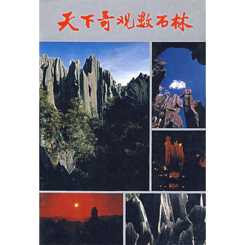 天下奇观数石林 本社 编【正版书】