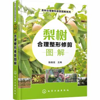 梨树合理整形修剪图解