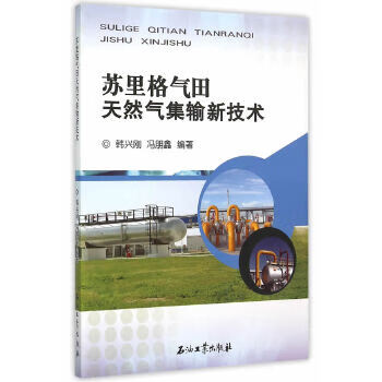 苏里格气田天然气集输新技术 韩兴刚,冯朋金著