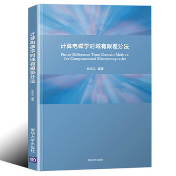计算电磁学时域有限差分法 林志立 电磁学教材 电磁理论基础 FDTD方法工作原理 电磁波束激励算法