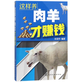 这样养肉羊才赚钱