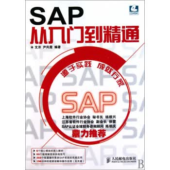 SAP从入门到精通(附光盘)