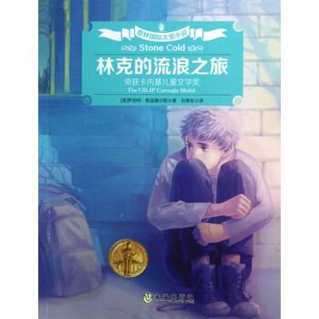 林克的流浪之旅/意林国际大奖小说