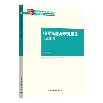 俄罗斯能源研究报告（2019）