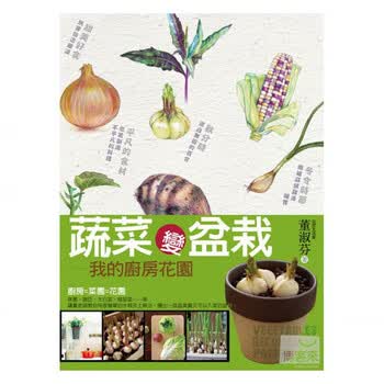 预售 蔬菜变盆栽 脚文化